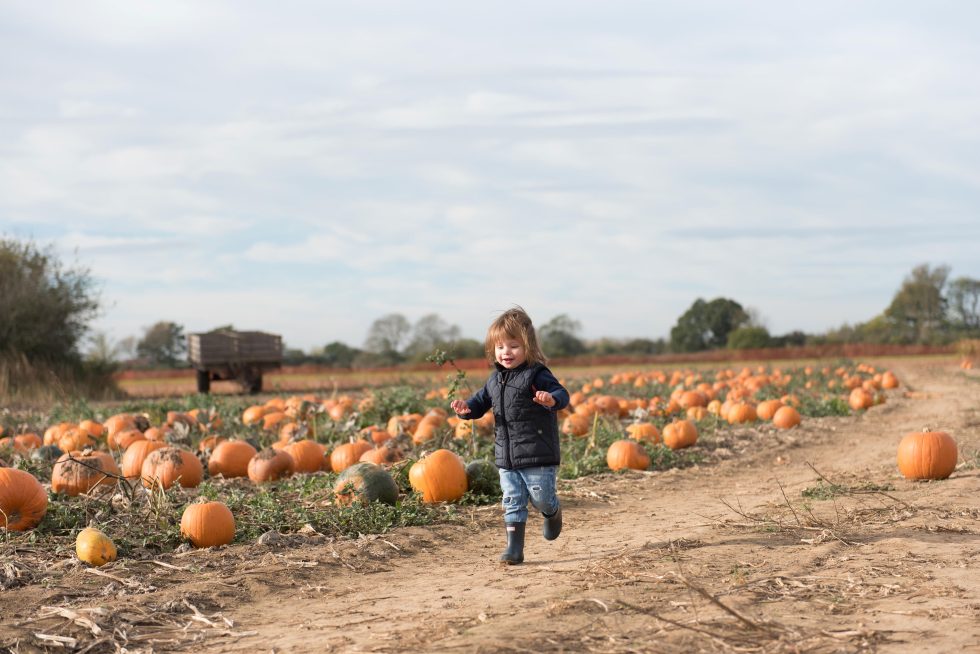 How to Prepare for Your Pumpkin Patch Mini Session at Cobbs Farm ...