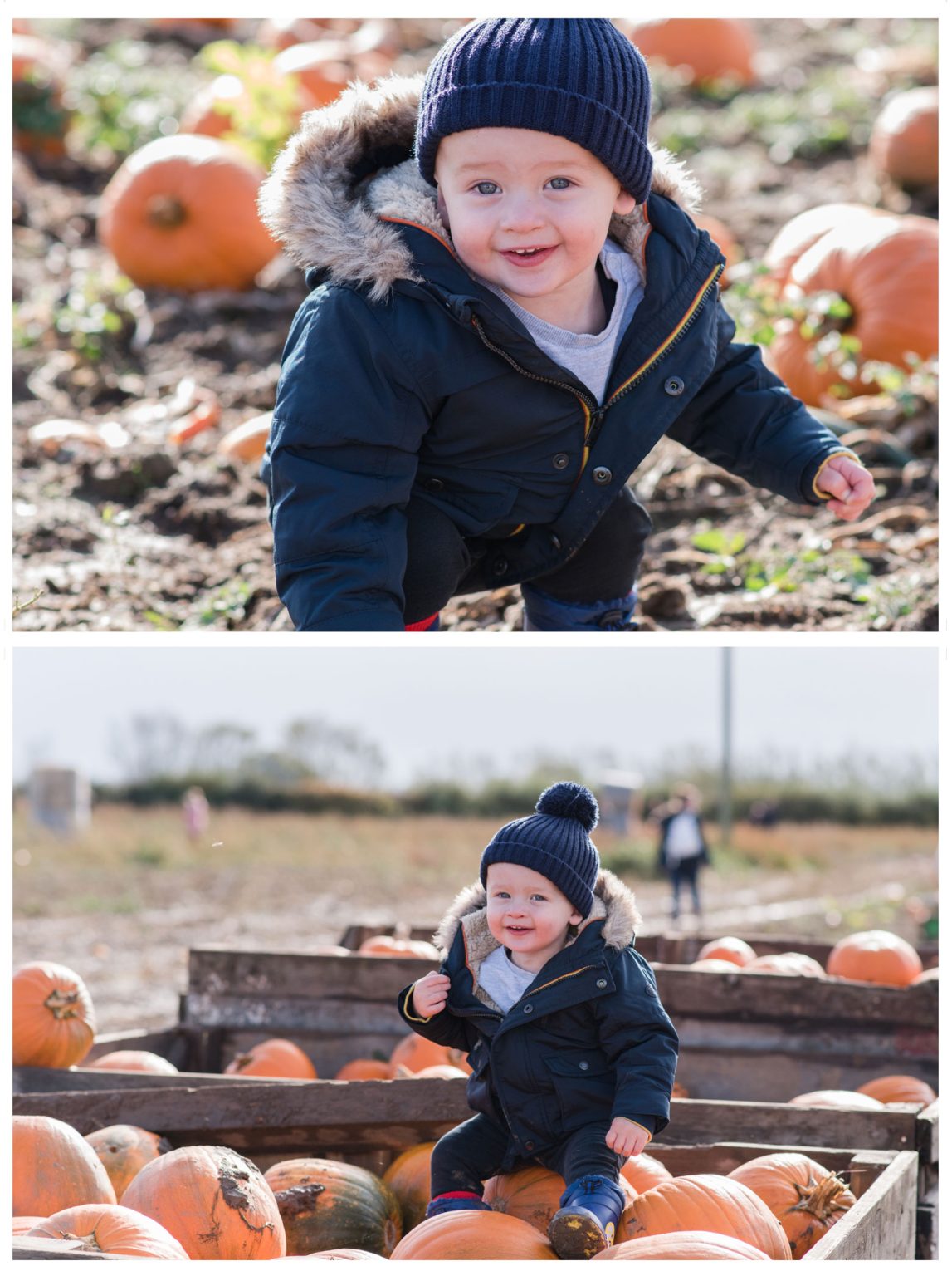 Pumpkin Patch Mini Sessions 2020 - Hannah Phipps
